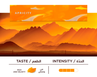 HEETS Tobacco Sticks Flavors in Kuwait | IQOS Kuwait