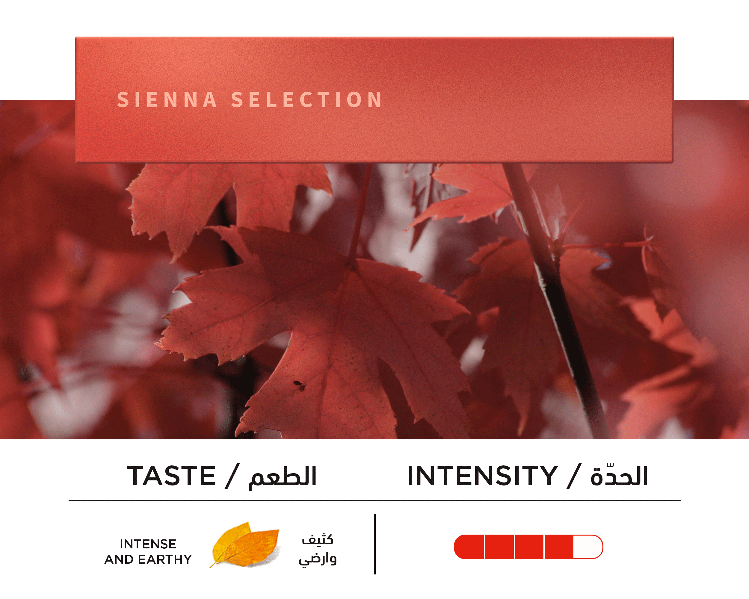 HEETS Tobacco Sticks Flavors in Kuwait | IQOS Kuwait