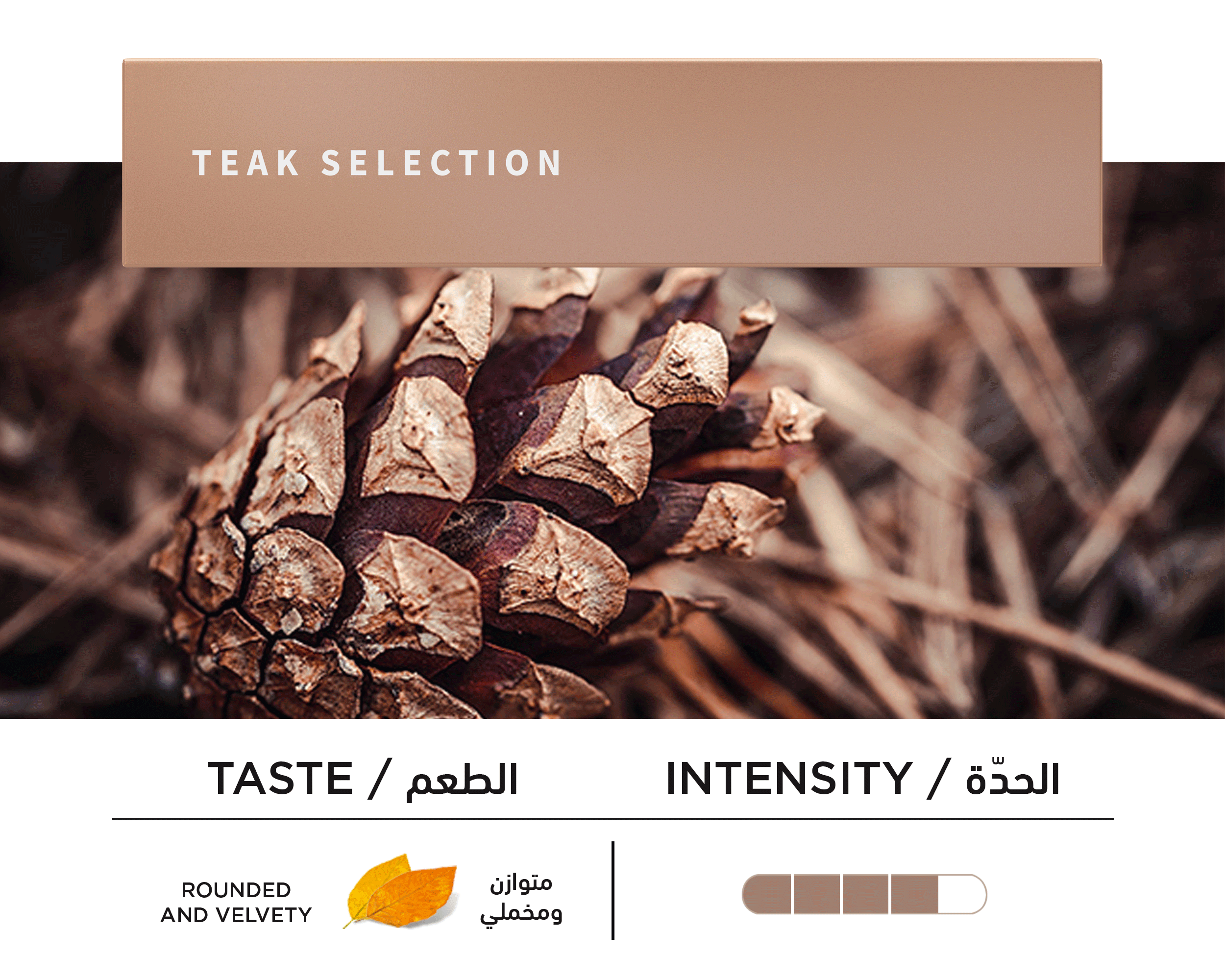 HEETS Tobacco Sticks Flavors in Kuwait | IQOS Kuwait